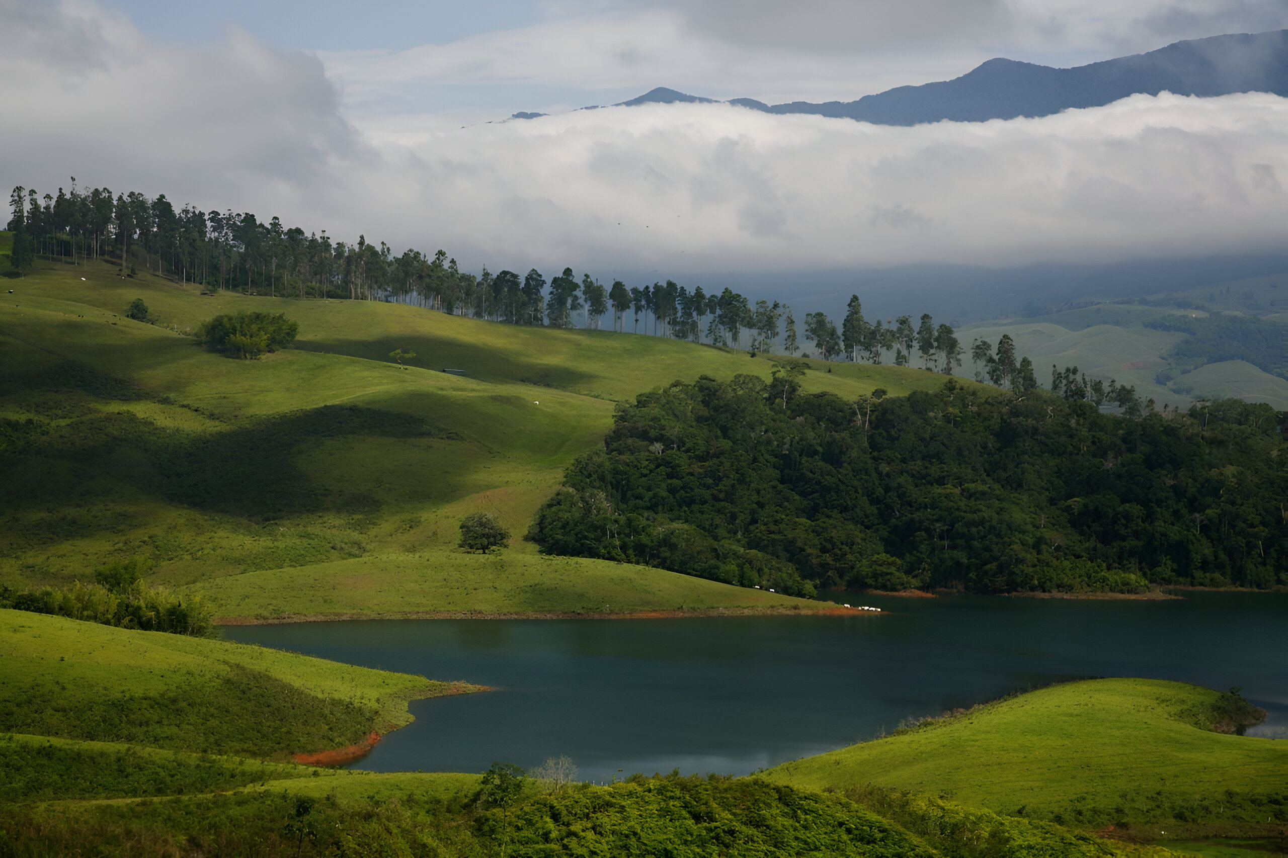 Receptivos Termales de Santa Rosa + Filandia – Aliados Travel